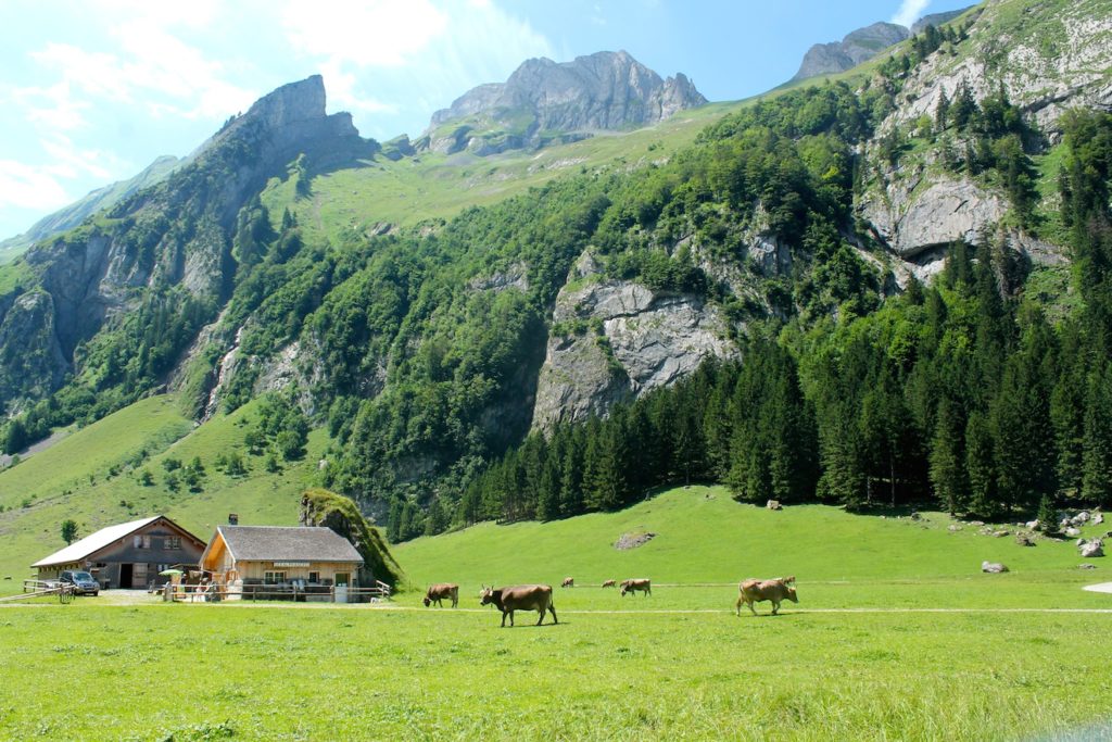 Picture Perfect Hiking in the Swiss Alps - Appenzell, Switzerland ...